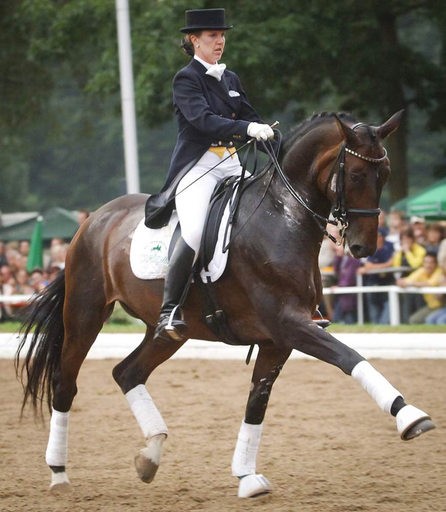 Dressurreiten (er)leben – Saddle4Horse